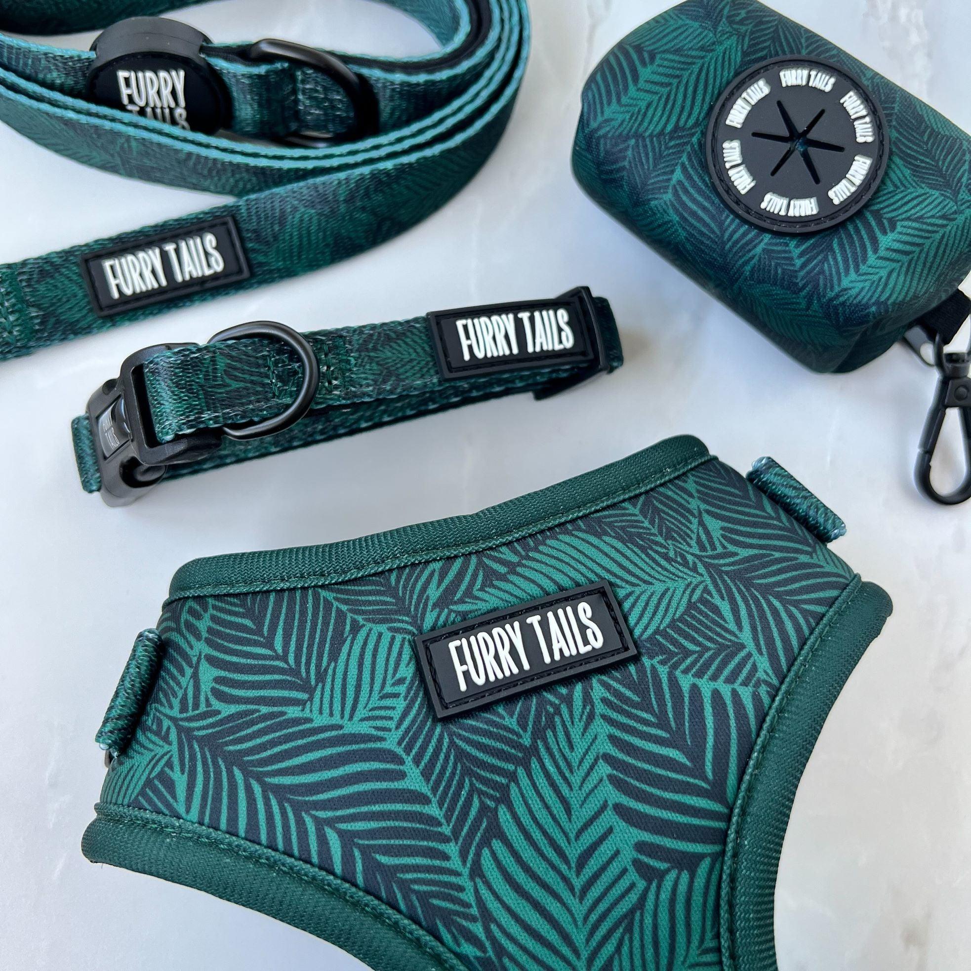 Palm Springs – Furry Tails