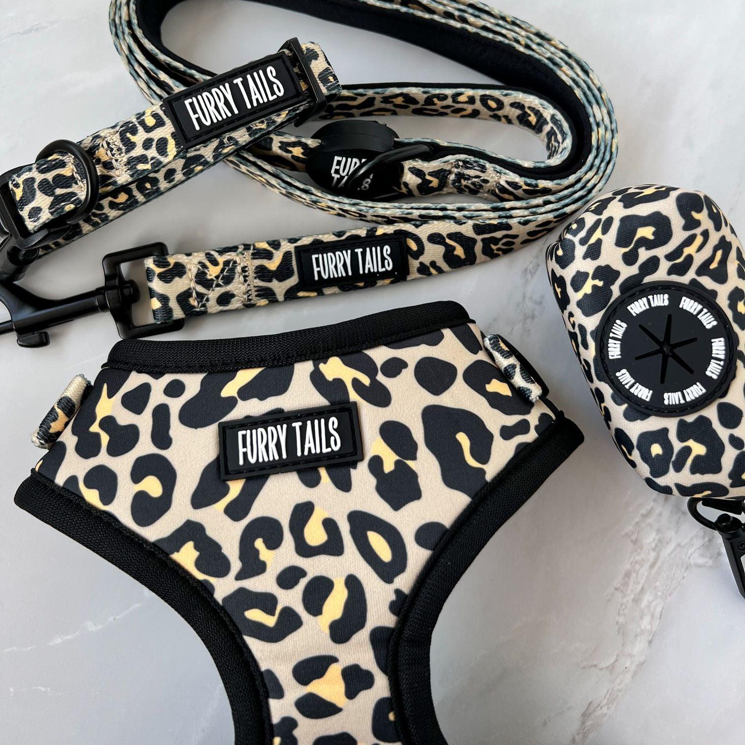 Lazy Leopard – Furry Tails