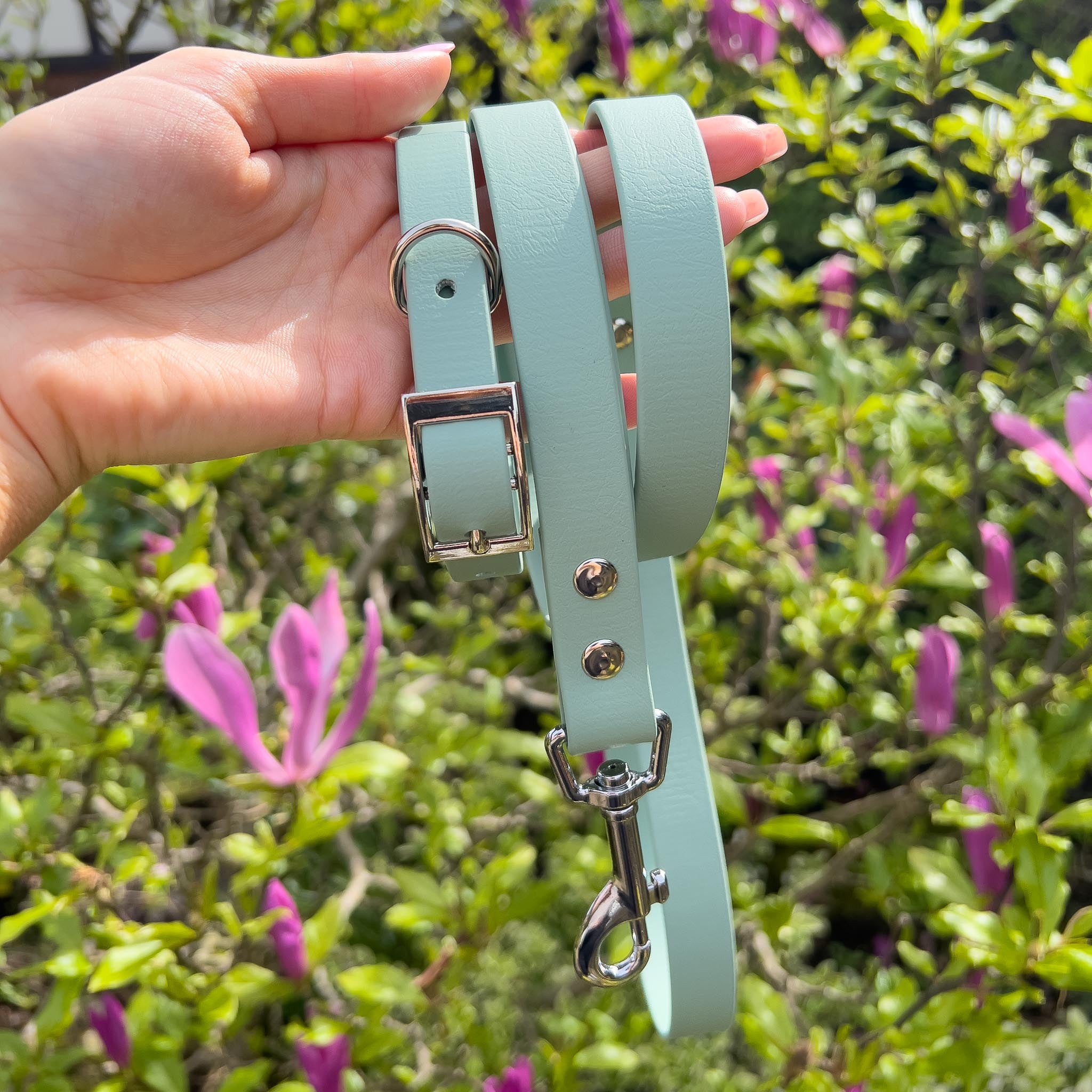Waterproof Collar + Lead Bundle - Tiffany Blue – Furry Tails