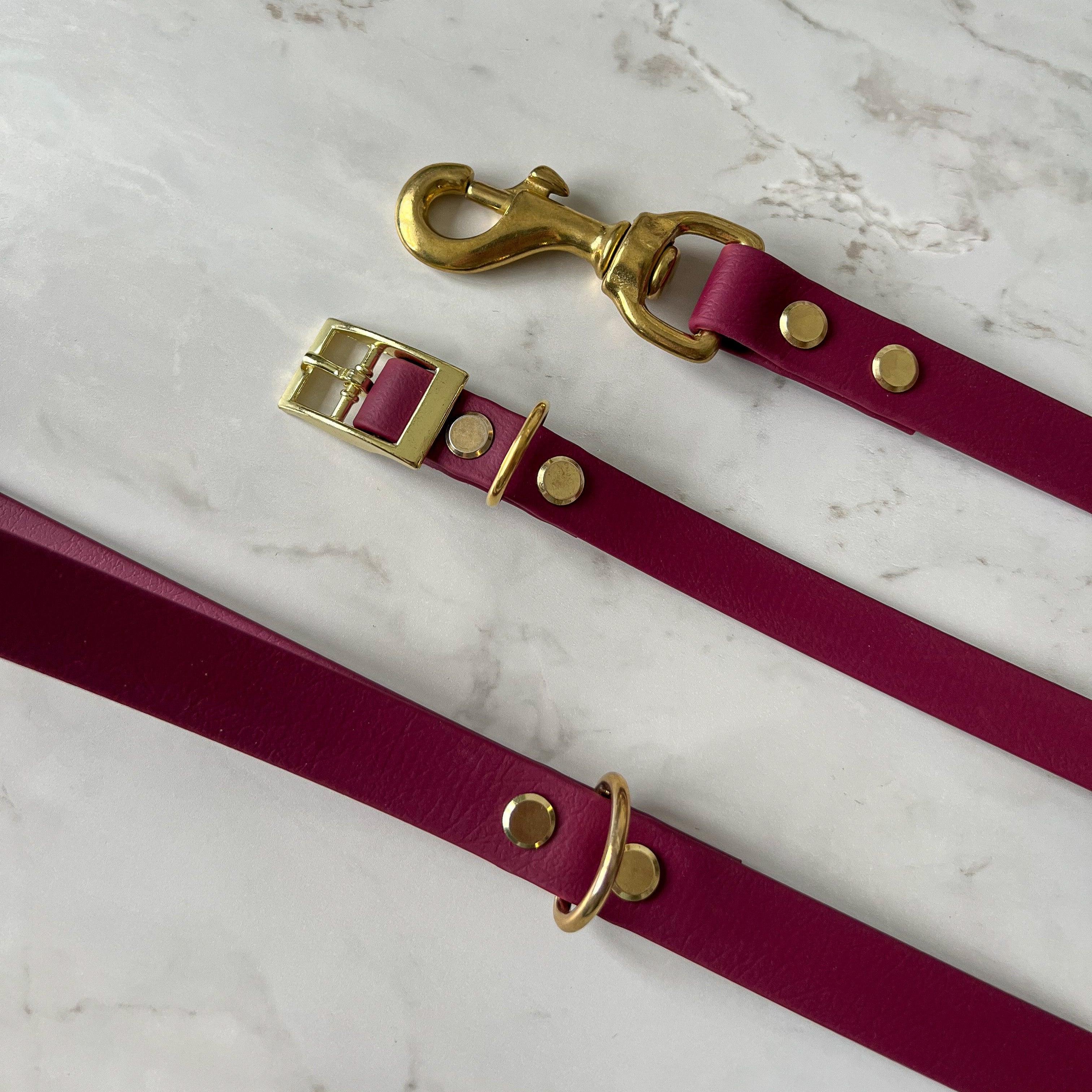 Waterproof Collar + Lead Bundle - Sangria – Furry Tails