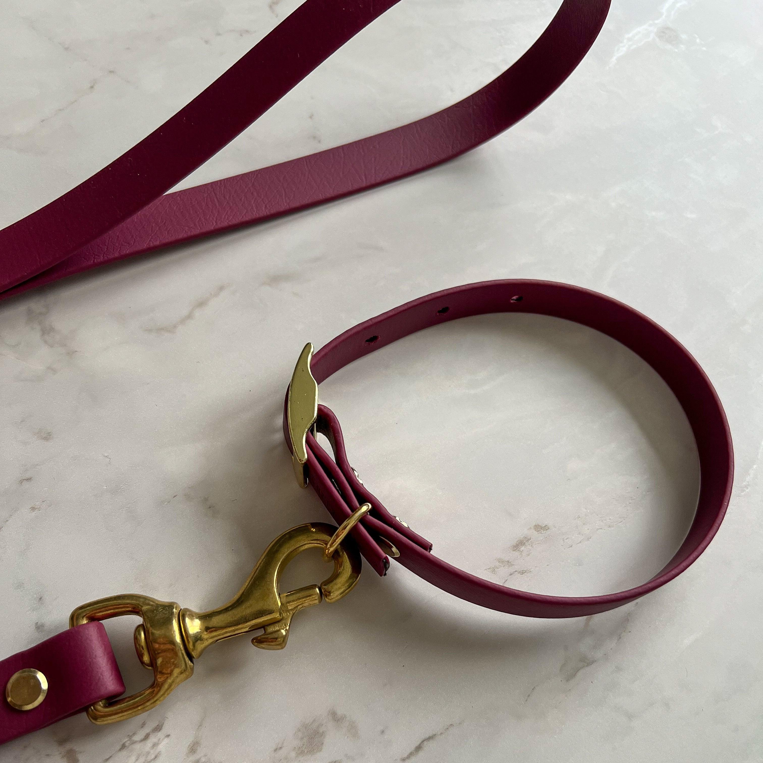Waterproof Collar + Lead Bundle - Sangria – Furry Tails
